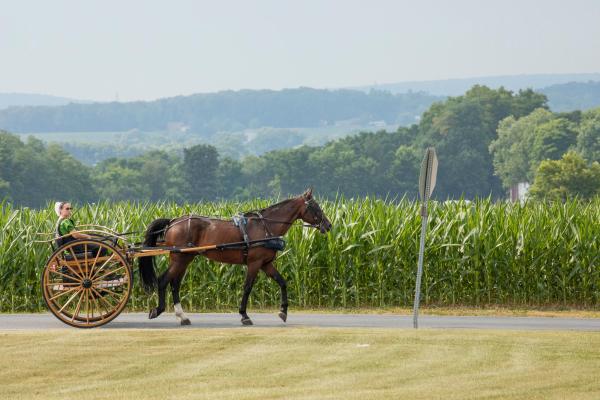 The US design studios turning to Amish and Mennonite artisans for ...