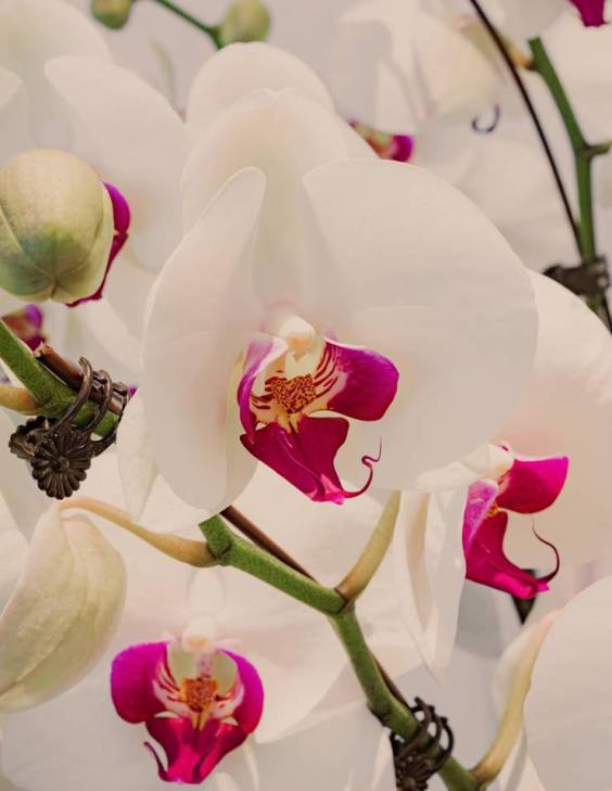 The craft of making better decisions - Monocle