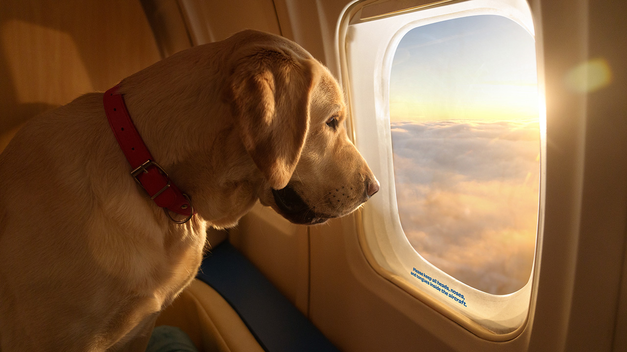 Eureka 440: Bark Air - Monocle