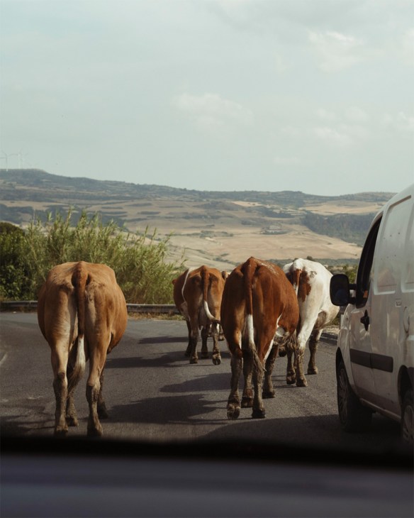 Sicily’s ‘scattered hotels’ offer new hope to the island’s hospitality ...
