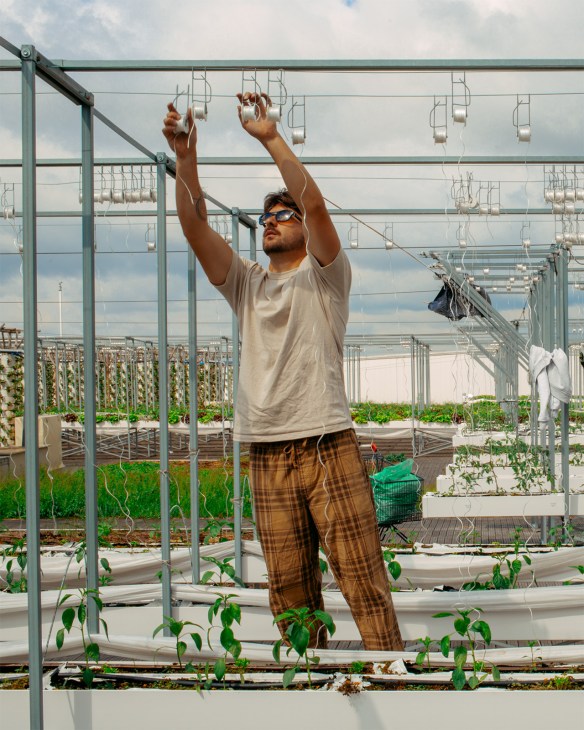 Inside Paris's secret gardens: How rooftop re-wilding projects are ...