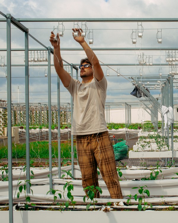 Inside Paris's secret gardens: How rooftop re-wilding projects are ...