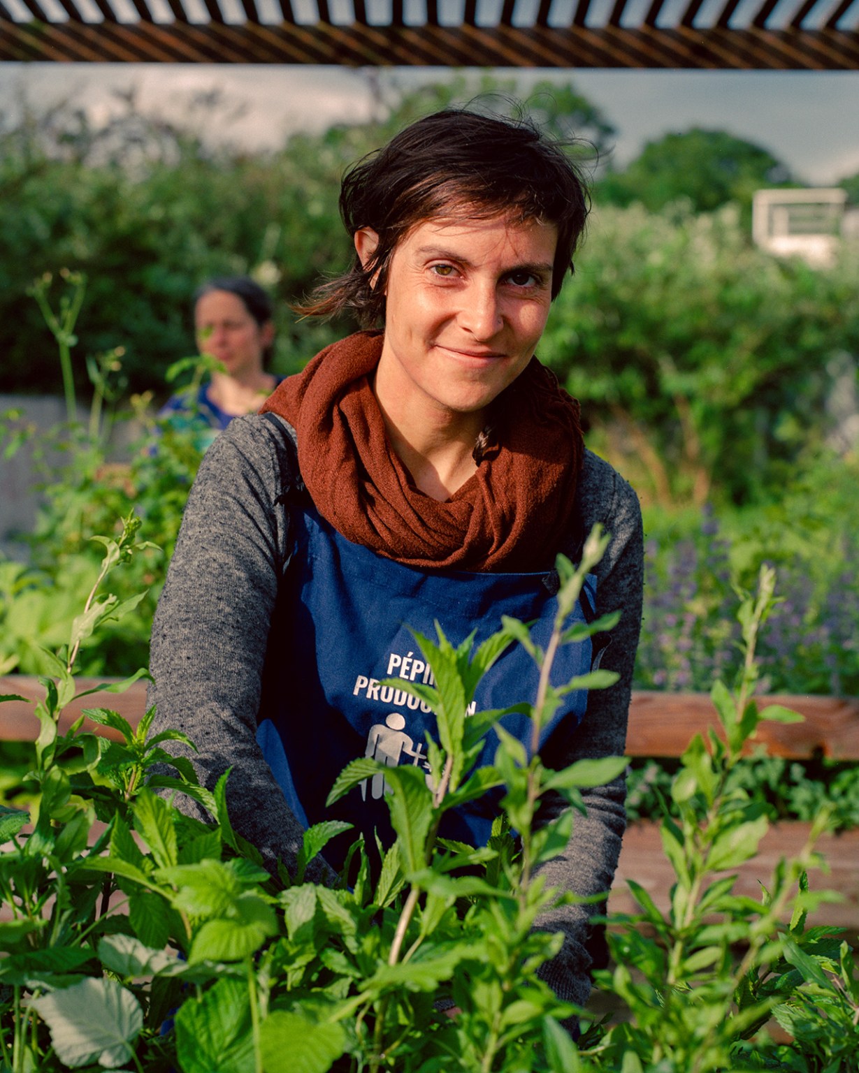 Inside Paris's secret gardens: How rooftop re-wilding projects are ...