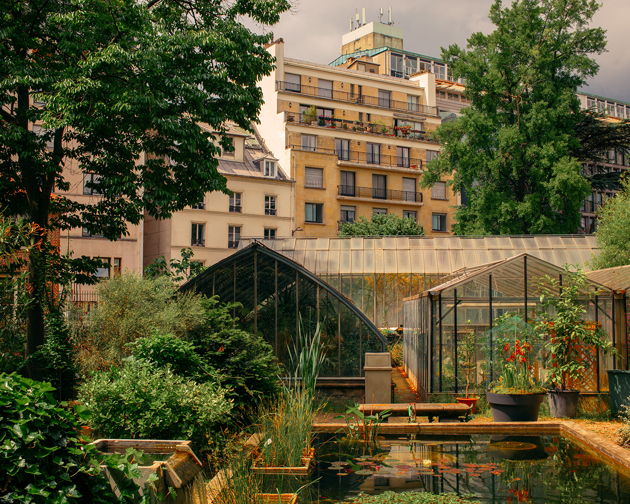 Inside Paris's secret gardens: How rooftop re-wilding projects are ...