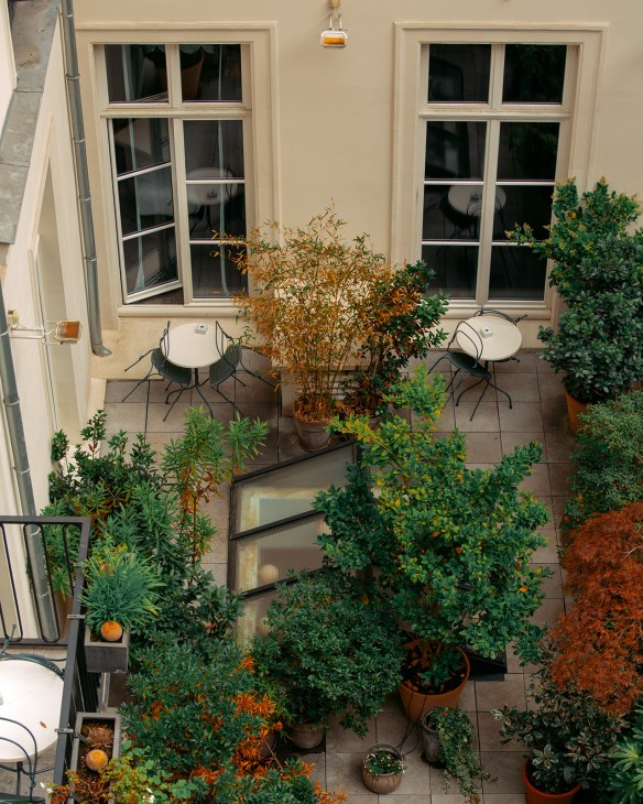 Inside Paris's secret gardens: How rooftop re-wilding projects are ...