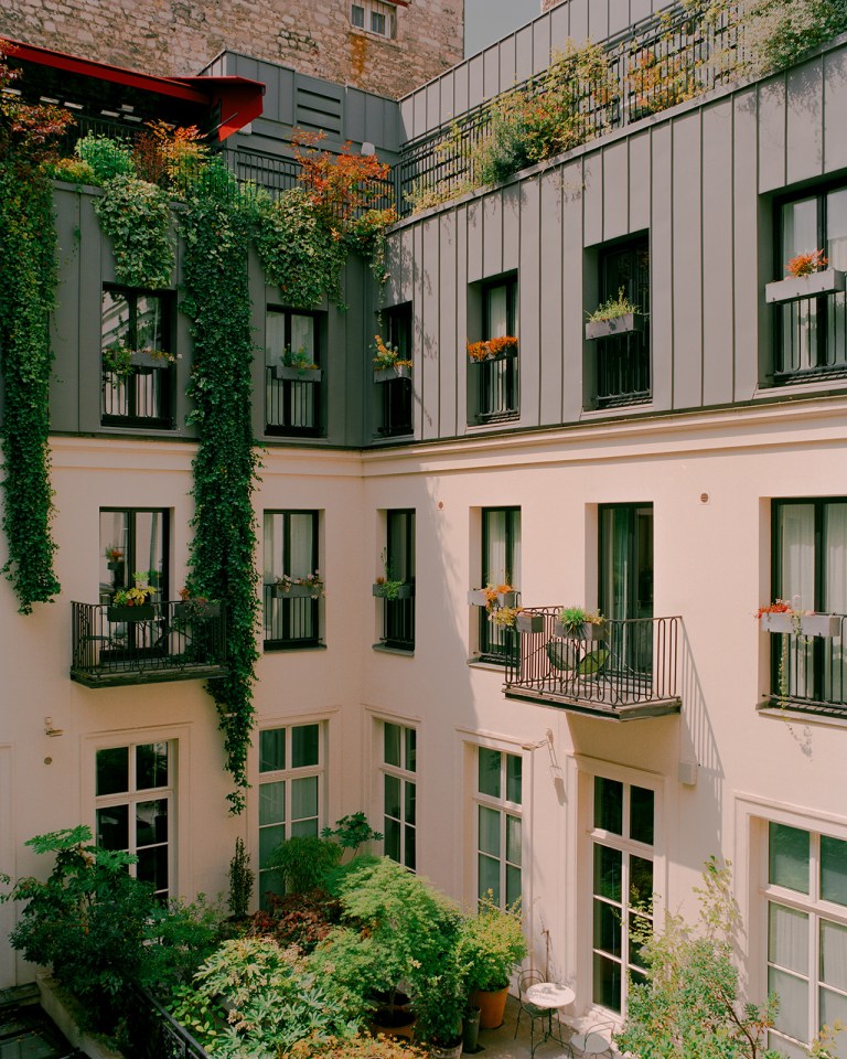 Inside Paris's secret gardens: How rooftop re-wilding projects are ...