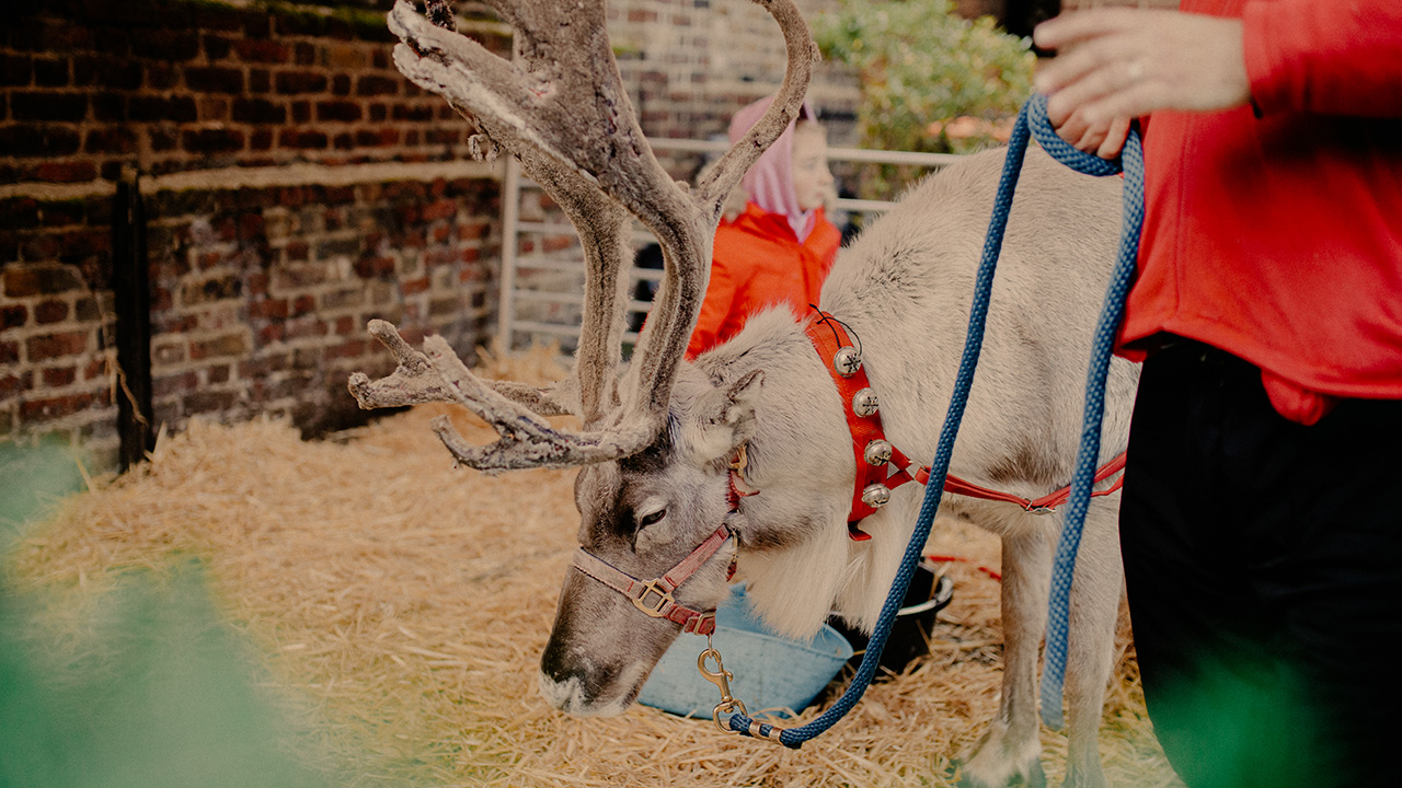 French spies, British olive oil and Monocle’s London Christmas Market ...