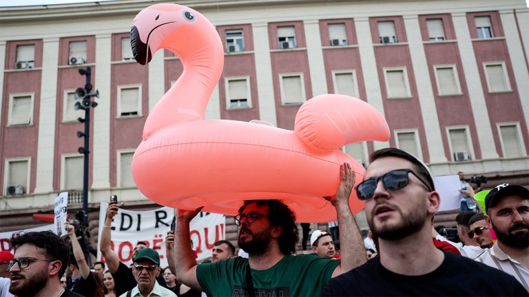 Albania’s flamingo protests take off as anger builds over Jared Kushner ...