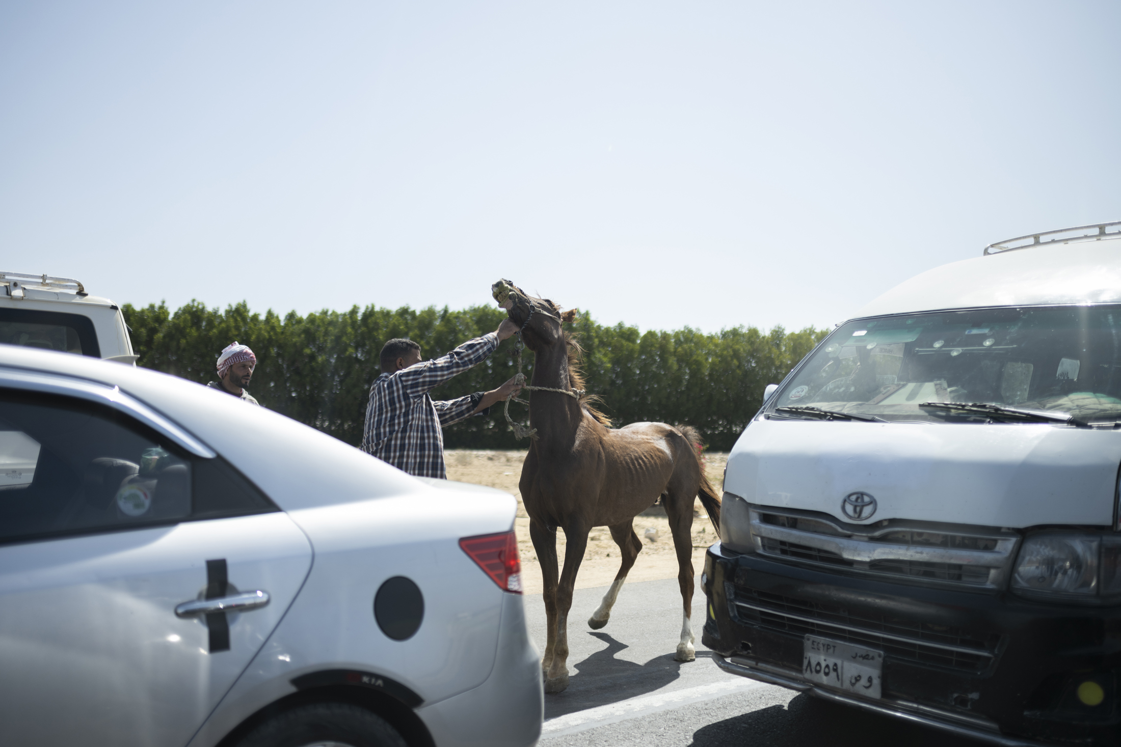 Cairo-Alexandria Highway: Egypt's Legendary Desert Route