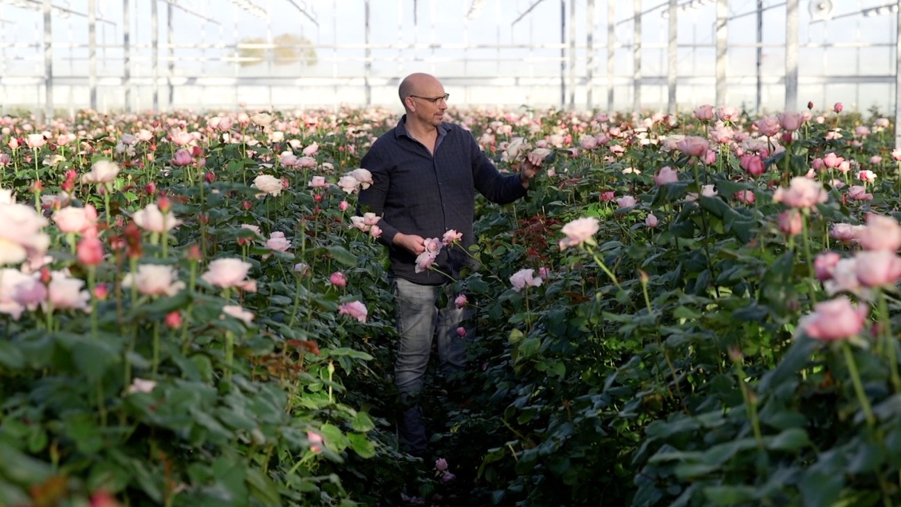 Blossoming business - Monocle